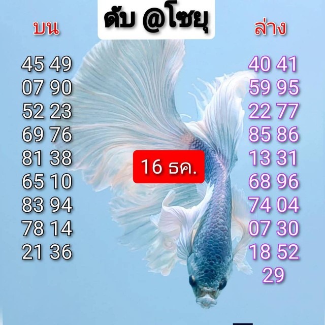 เลขดับลดต้นทุน หวยโชยุ16/12/68 - หวยเด็ดงวดนี้
